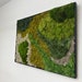 Handcrafted Preserved Moss Wall Art. A Natural Greenery for Your Home ...