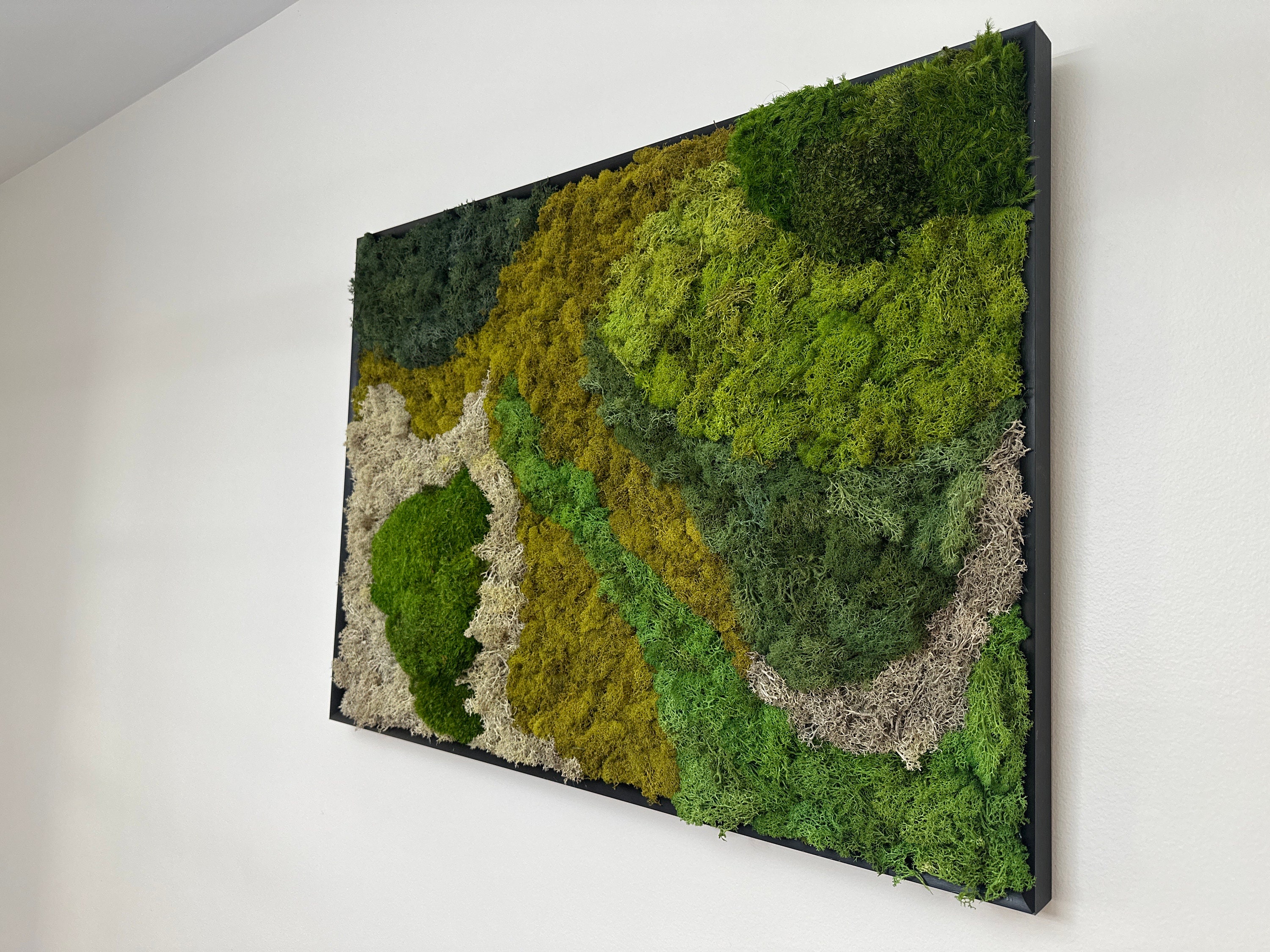 Handcrafted Preserved Moss Wall Art. A Natural Greenery for Your Home ...