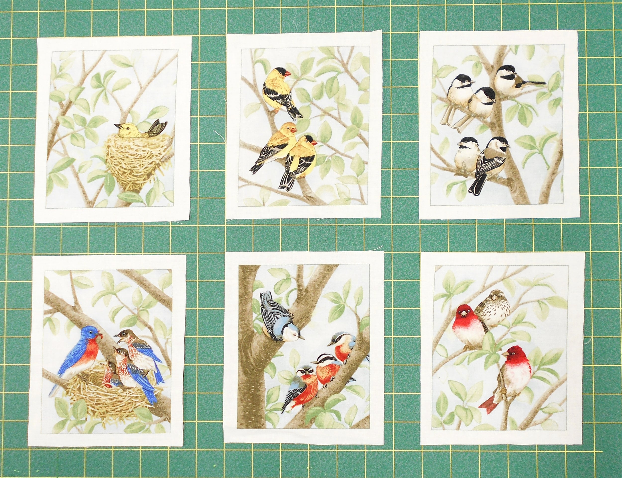 Birds in Tree Fabric Blocks-choose a Bird, Get a Set of 6 the Same ...