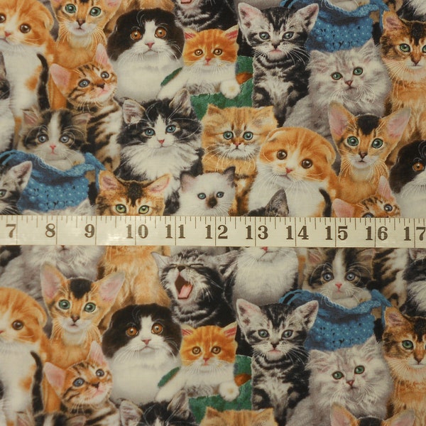 Realistic Cats Fabric - Etsy