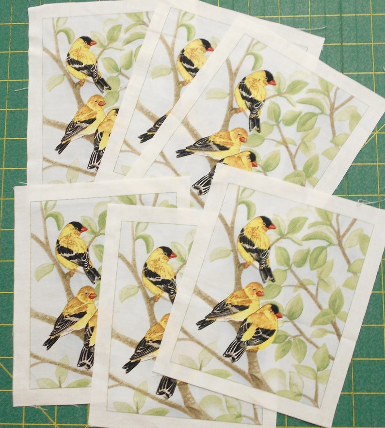 Birds in Tree Fabric Blocks-choose a Bird, Get a Set of 6 the Same ...