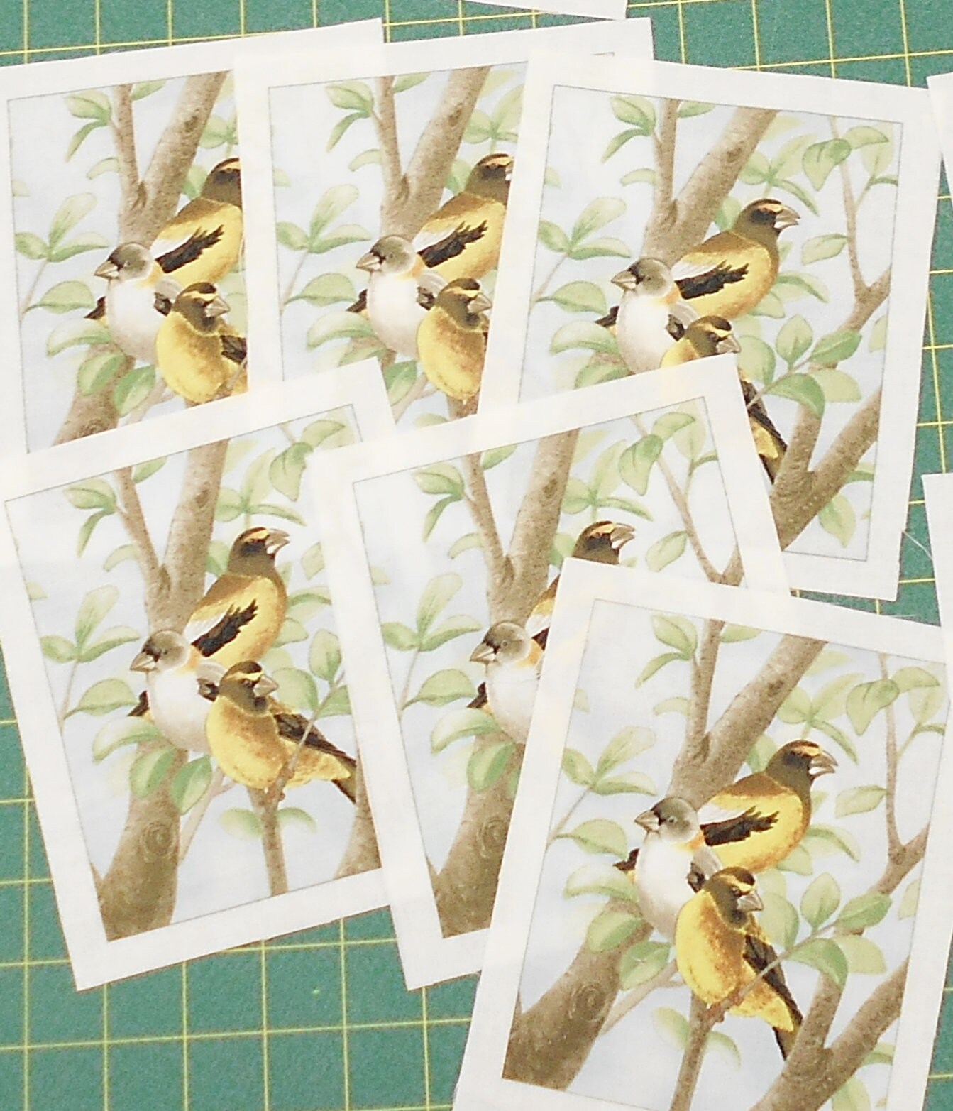 Birds in Tree Fabric Blocks-choose a Bird, Get a Set of 6 the Same ...