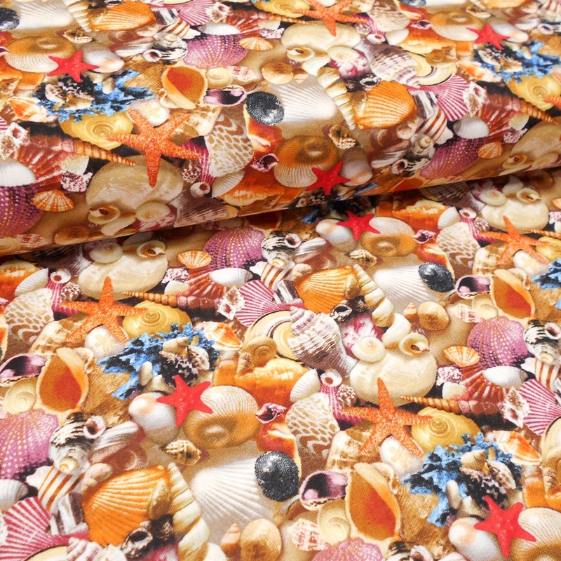 Brown Seashell Fabric - Etsy