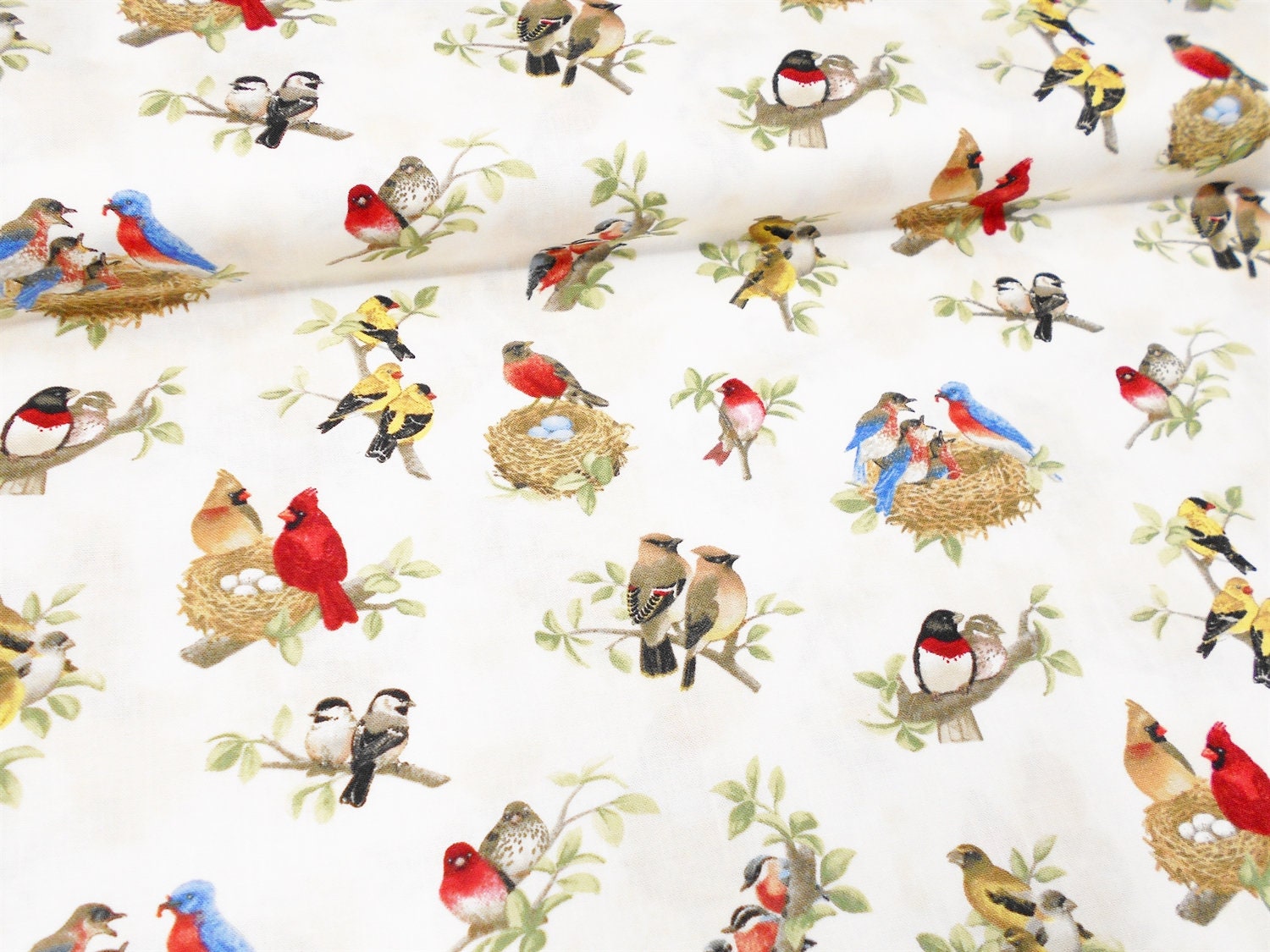 Fabric-birds and Nests Cream Background #4989/choose 1/2 or 1yd Piece ...