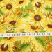 Fabric-1/2 or 1yd Piece 5284-packed Large Sunflowers/autumn - Etsy