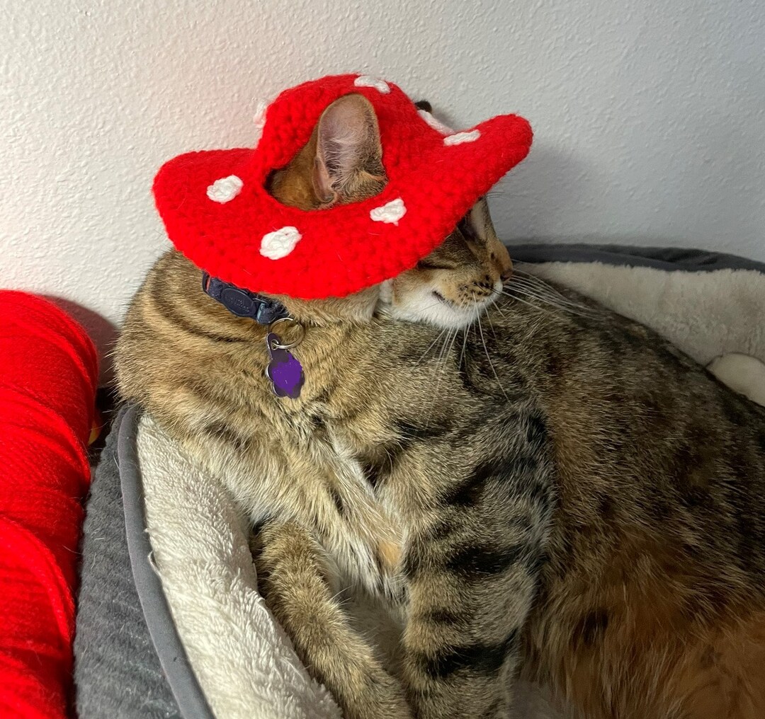 Cat Mushroom Hat Crochet Pattern - Etsy