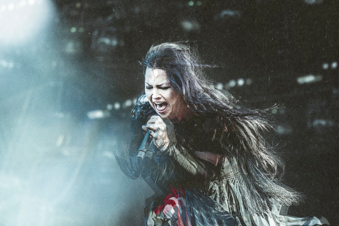 Evanescence / Amy Lee Art Print - Etsy