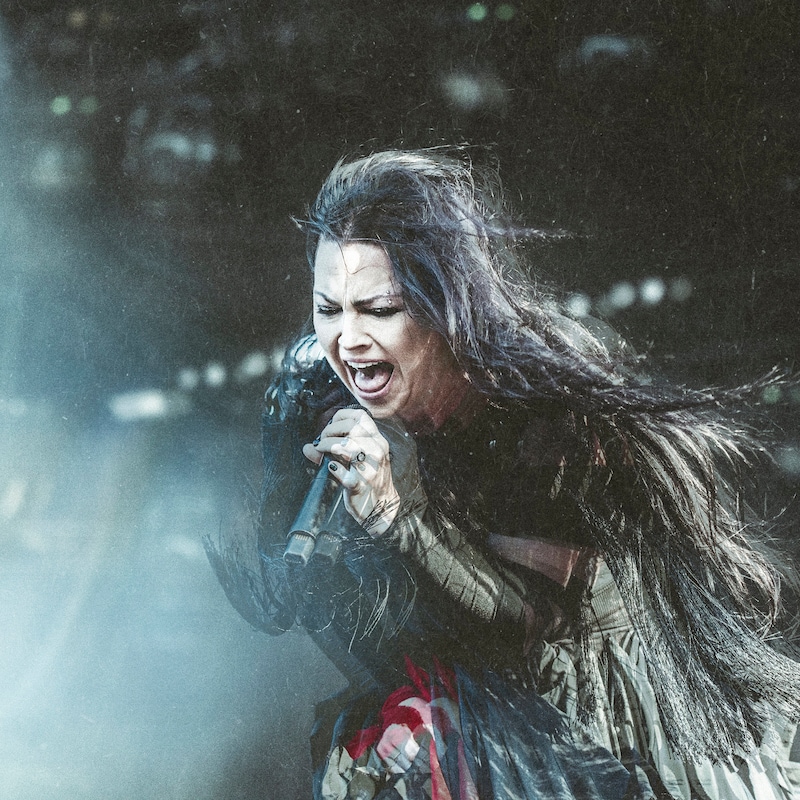 Amy Lee - Etsy