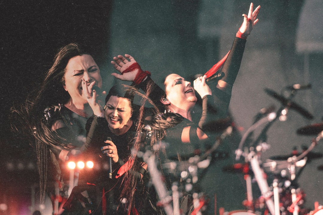 Evanescence / Amy Lee Art Print - Etsy