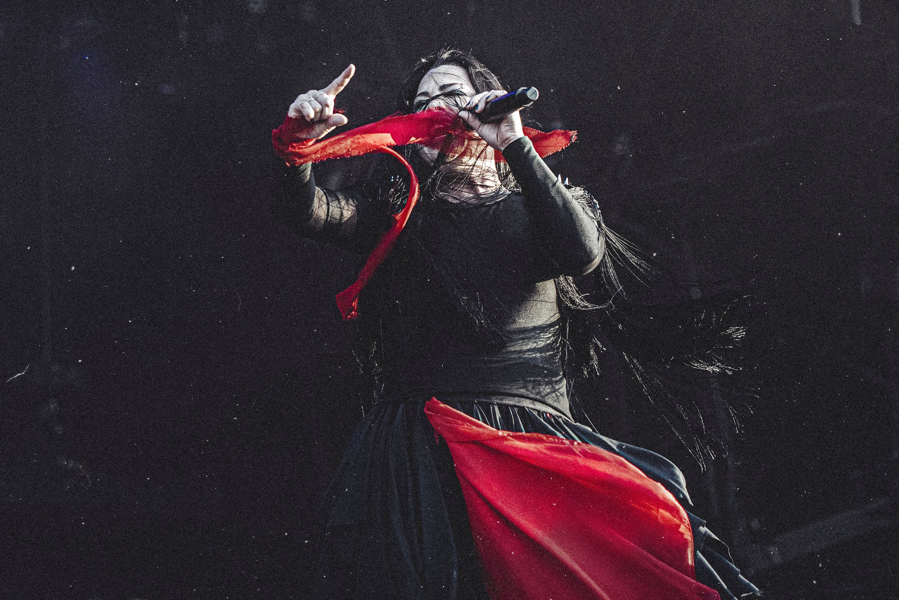 Evanescence / Amy Lee Art Print - Etsy