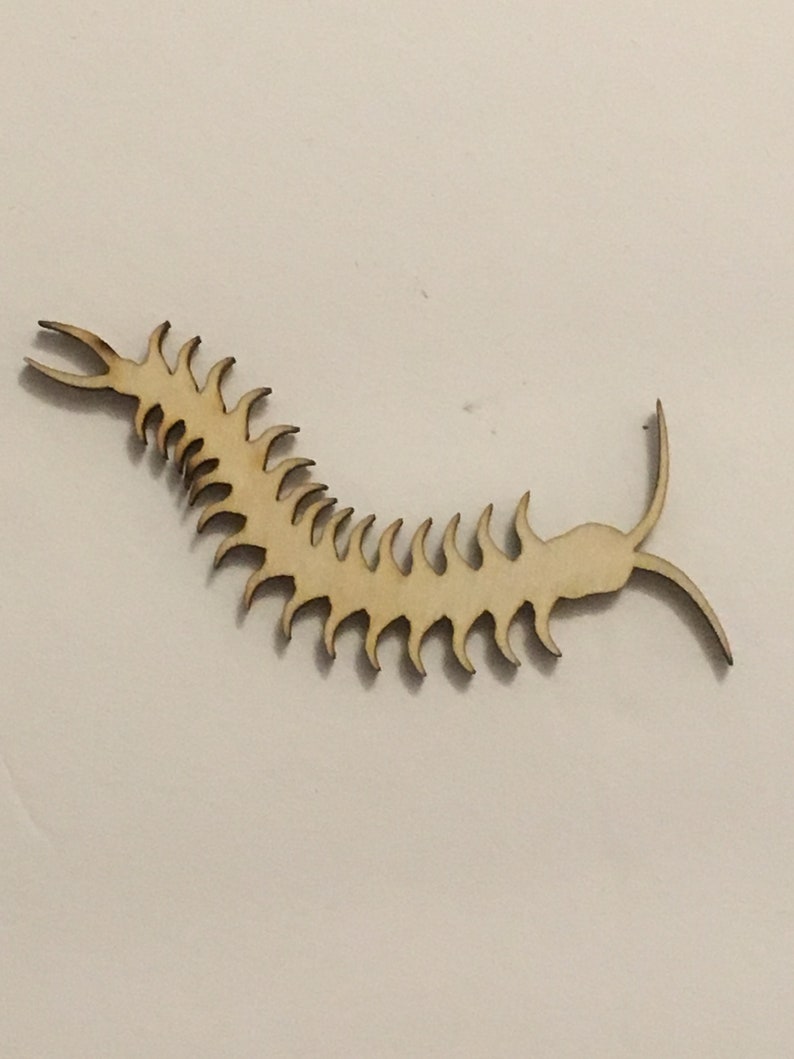 Centipede Cutout, Millipede, Laser Cut Wood, A212 - Etsy