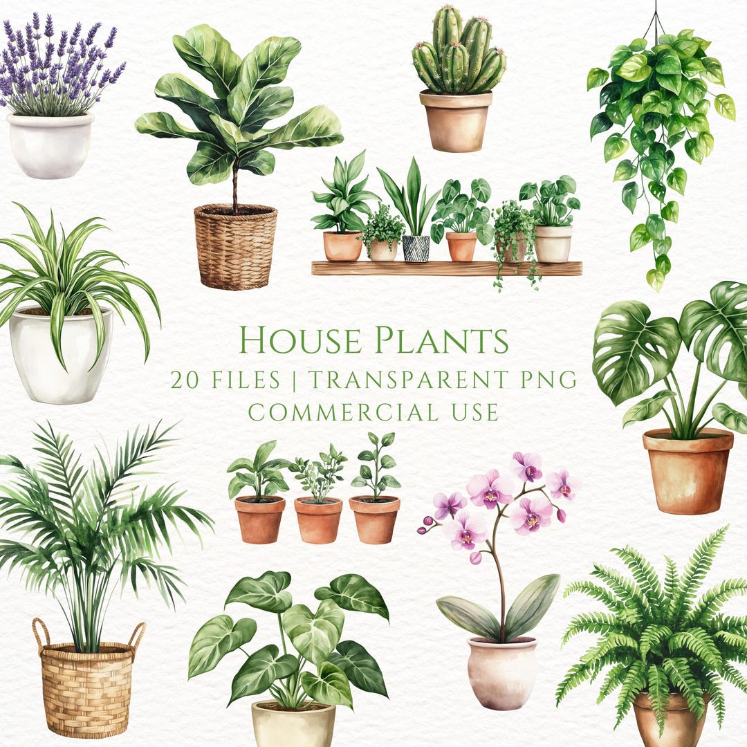 House Plants Clipart, Watercolor Plants Home Decor, Flower Clip Art ...