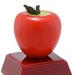 Apple Trophy With 3 Lines of Custom Text - Etsy