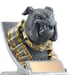 Bulldog Mascot Trophy With 3 Lines of Custom Text - Etsy