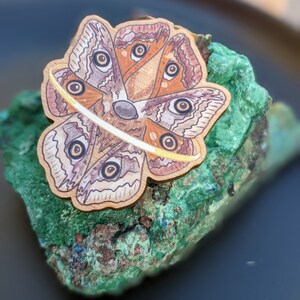 Biblically Accurate Moth Wooden Pin: Angelic Insect Art (38mm) - Etsy