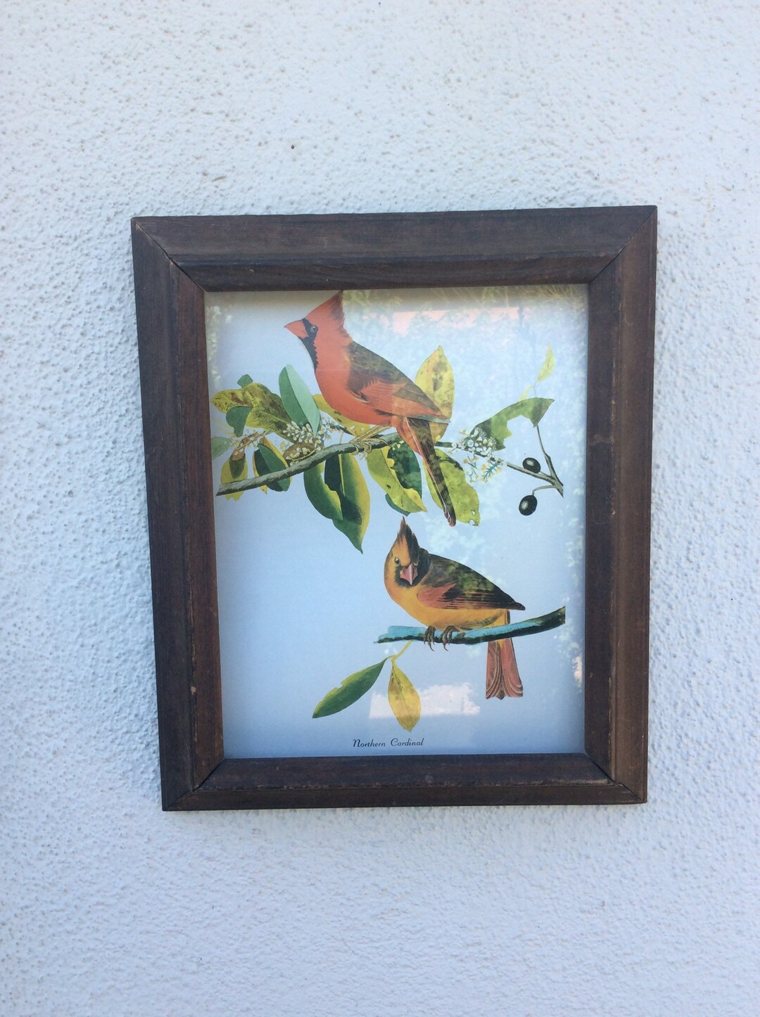 Northern Cardinal Bird Print Cardinal Print Nature Print - Etsy