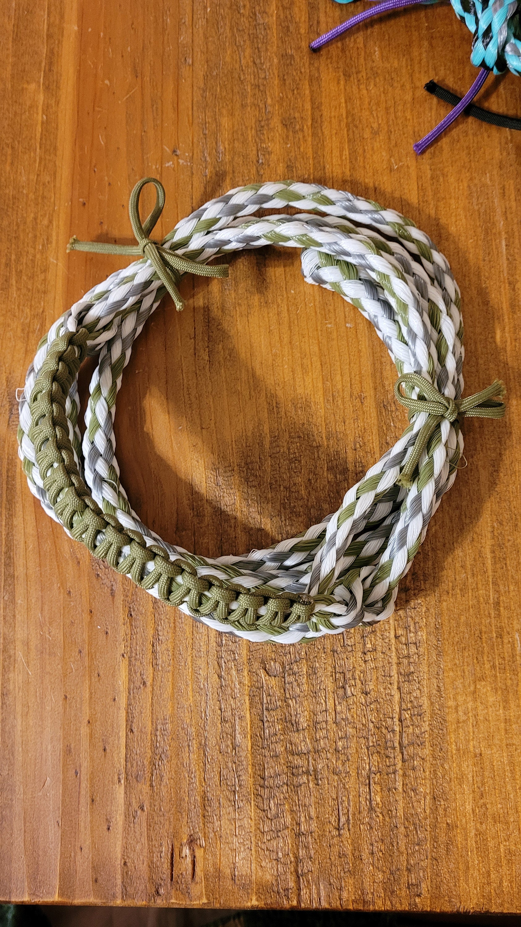 Poly Rope Halter for Lamb, Goat, Small Calf Etc. - Etsy