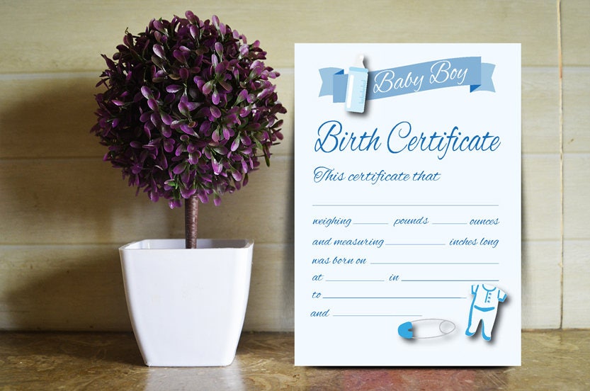 Pink and Light Blue Birth Certificate Designed for the Babies | Etsy