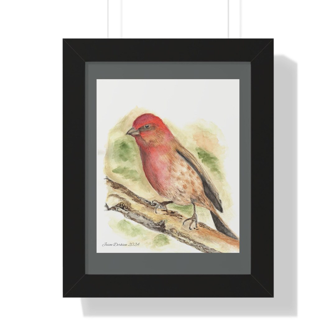 House Finch Watercolor Painting, Framed Vertical Art Poster for Home or ...