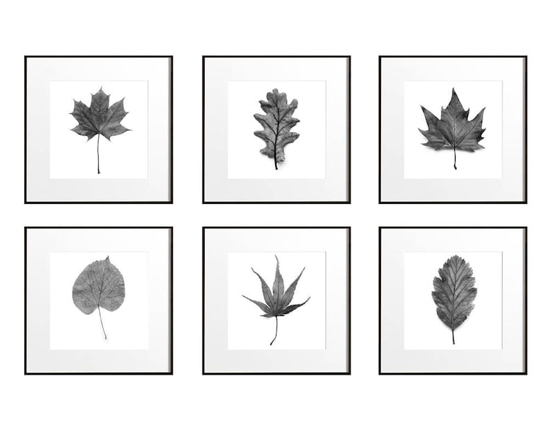 Large Botanical Prints Leaf Art Prints Botanical Wall Art - Etsy UK