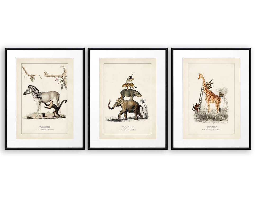 Surreal Animal Art, Set of 3 Prints, Vintage Posters, Funny Animal ...