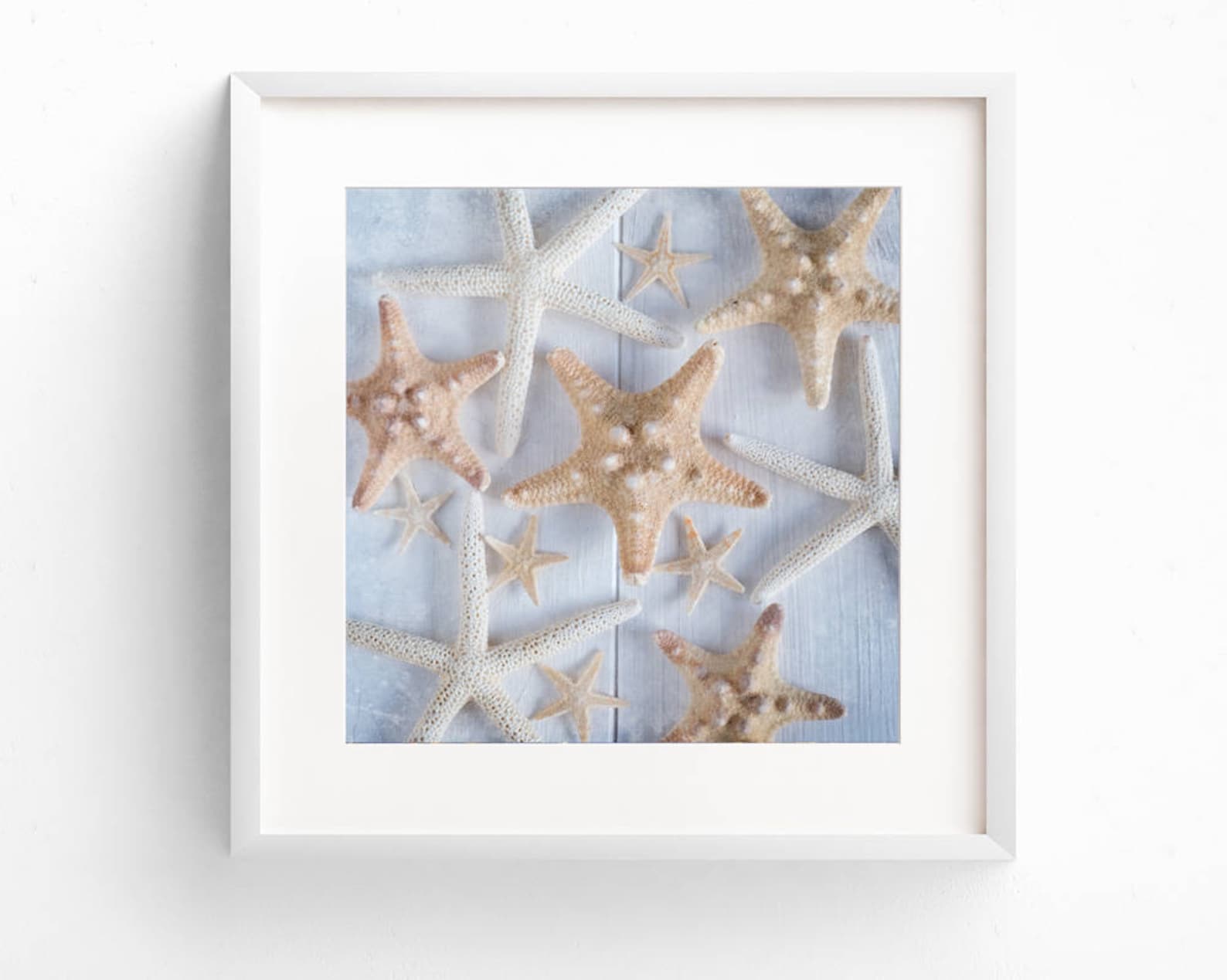 Starfish Art Beach House Decor Coastal Decor Bathroom Wall | Etsy