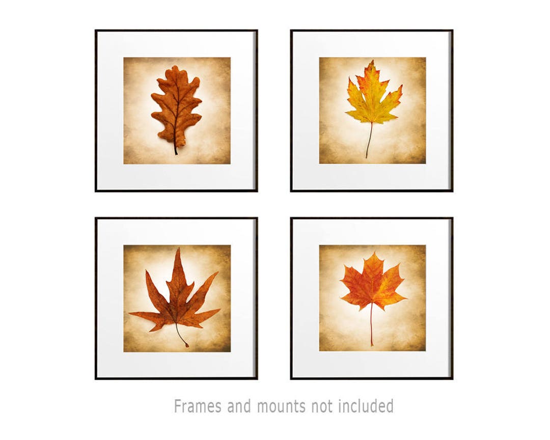 Rustic Nature Decor Large Botanical Prints Set of 4 Prints - Etsy