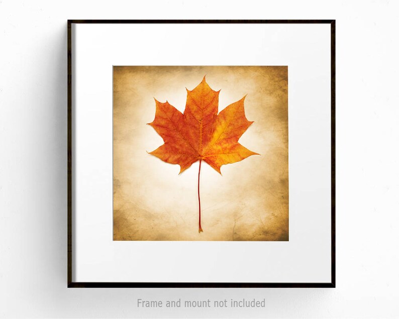 Rustic Nature Decor Large Botanical Prints Set of 4 Prints | Etsy