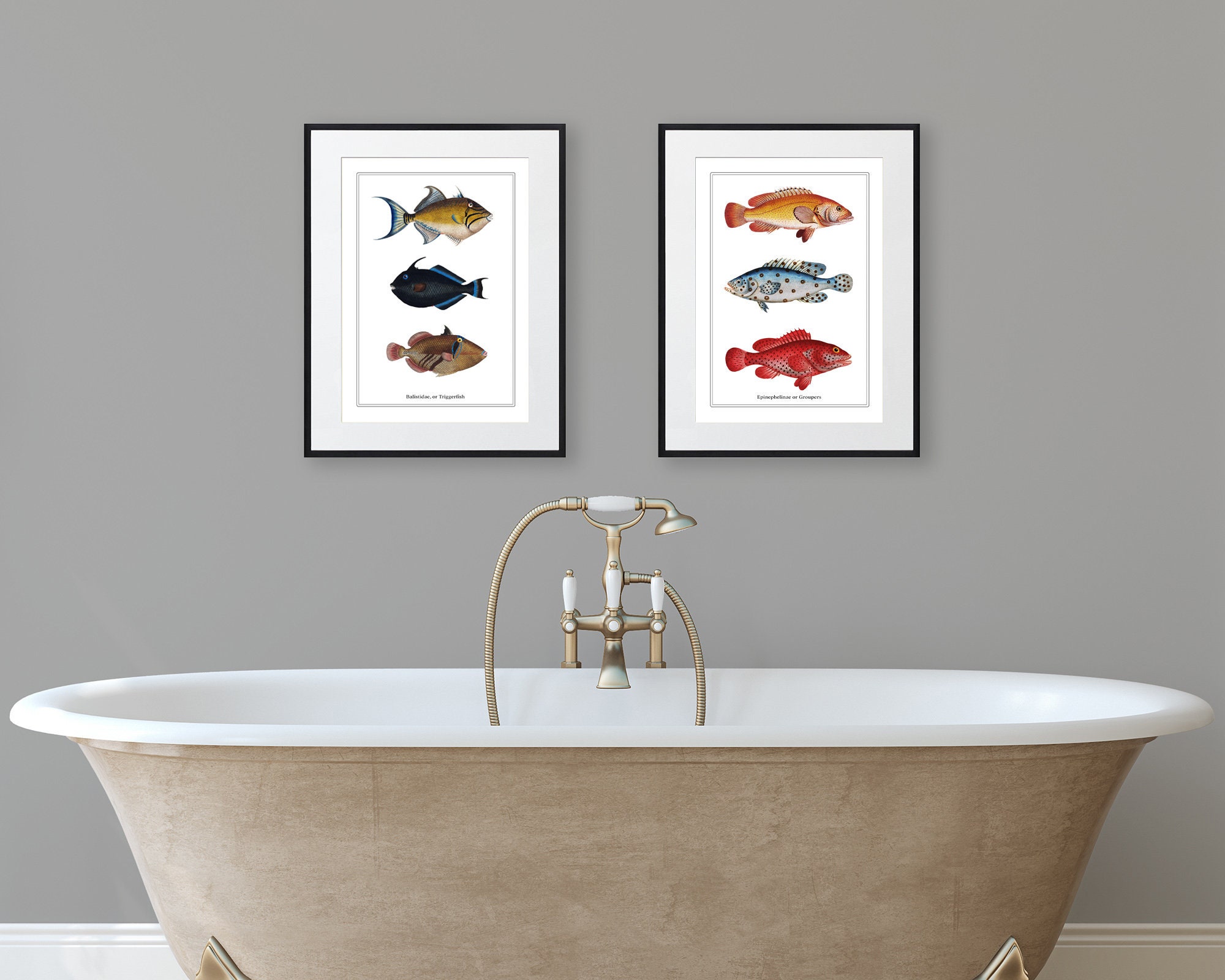 Set of Vintage Colourful Fish Prints Bathroom Wall Art Set Natural ...