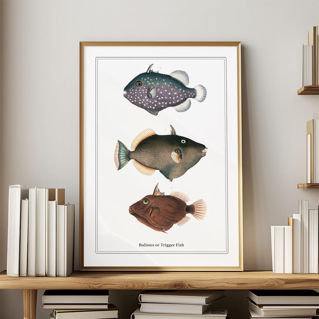 Vintage Fish Art Print for Coastal Decor Wall Art for Beach House ...
