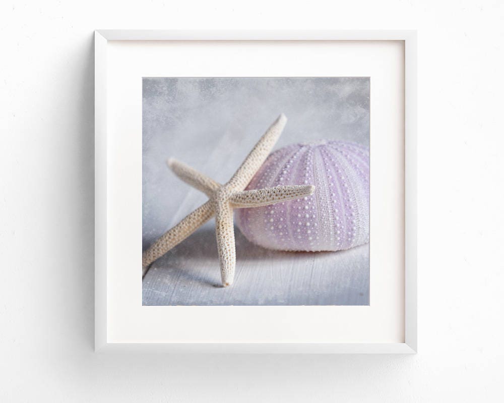 Sea Life Art Beach House Decor Coastal Decor Bathroom Wall | Etsy