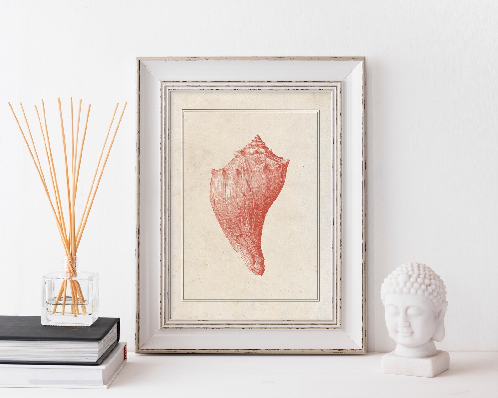 Vintage Sea Shell Print Bathroom Wall Art Classic Coastal - Etsy