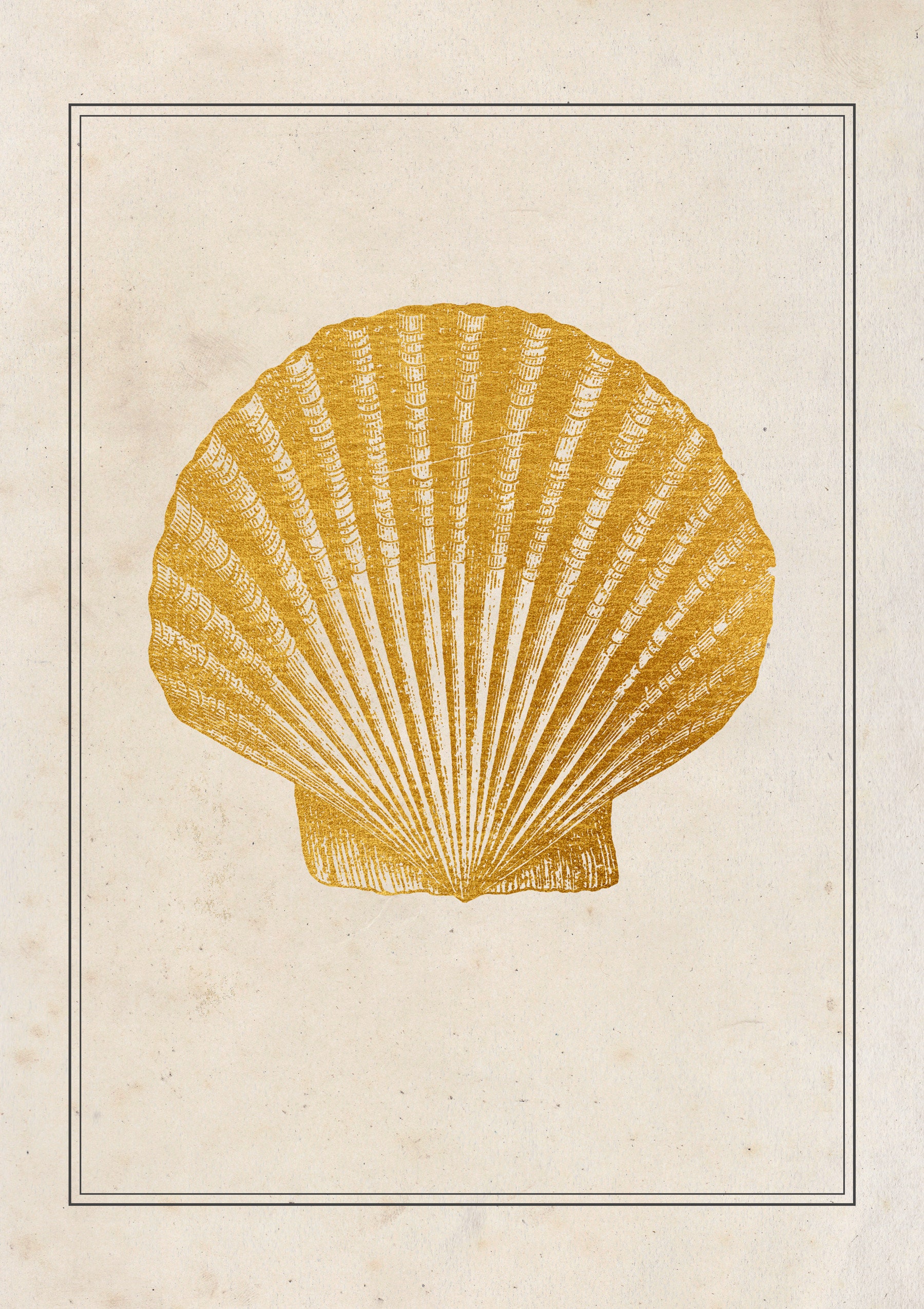 Vintage Sea Shell Print Bathroom Wall Art Scallop Wall Print Classic ...