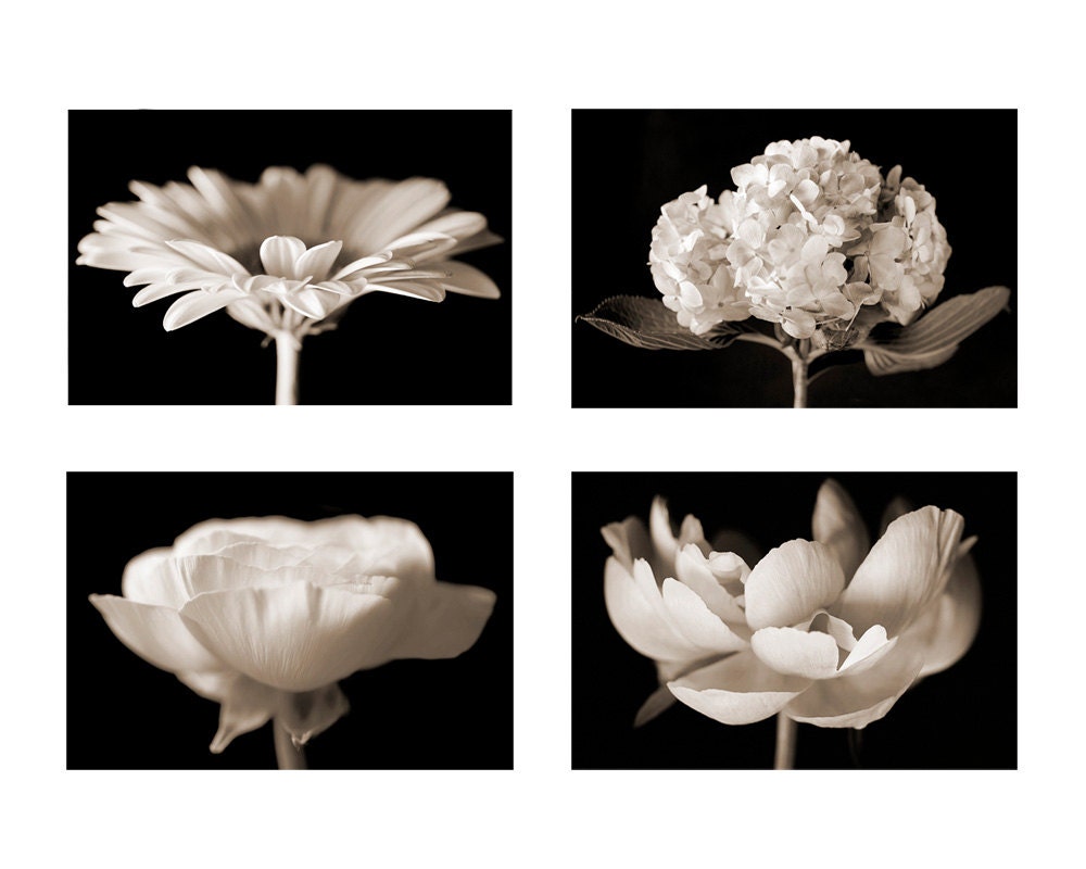 Large Botanical Prints Flower Photographs Floral Wall Art - Etsy