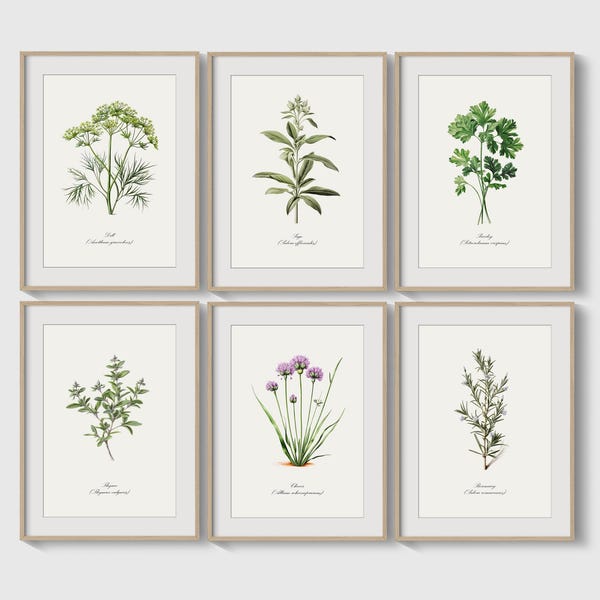 Herbs Art Painting - Etsy UK