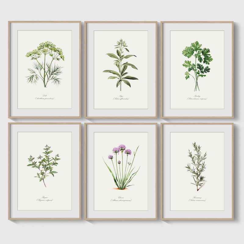 Herbs Art Painting - Etsy UK