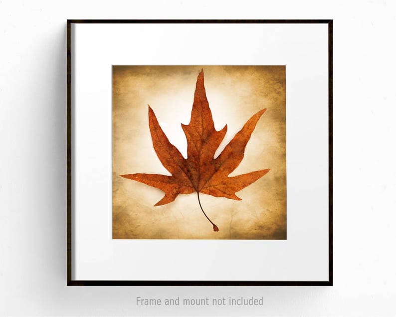 Rustic Nature Decor Large Botanical Prints Set of 4 Prints | Etsy