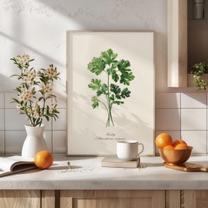 Parsley Herb Wall Art Gift for New Kitchen Rustic Green Decor Idea for ...