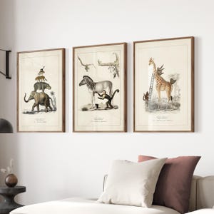 Surreal Animal Art Set of 3 Print Vintage Posters Funny Animal Prints ...