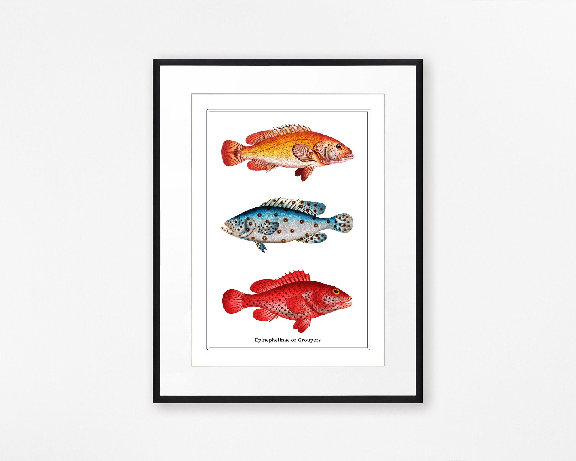Set of Vintage Colourful Fish Prints Bathroom Wall Art Set Natural ...