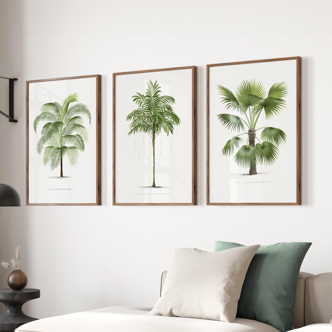Vintage Botanical Decor Palm Trees Wall Art Maximalist Decor Gallery ...