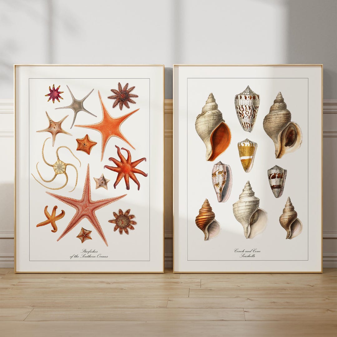 Vintage Bathroom Seashell Print Starfish Wall Art Coastal Decor Set of ...