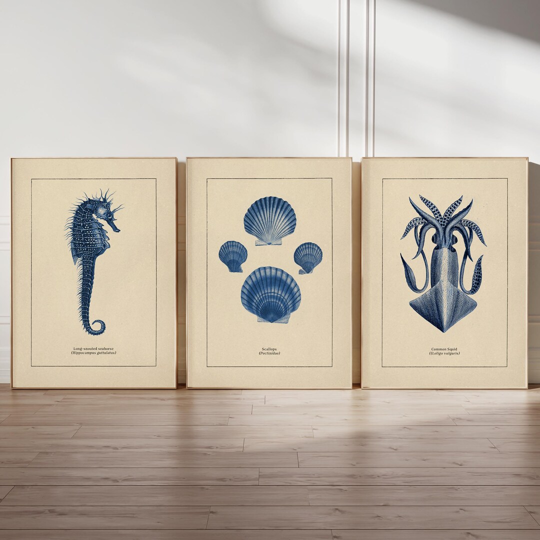 Blue Sea Life Prints Seahorse Prints Set of 3 Blue Prints Vintage ...