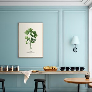 Parsley Herb Wall Art Gift for New Kitchen Rustic Green Decor Idea for ...