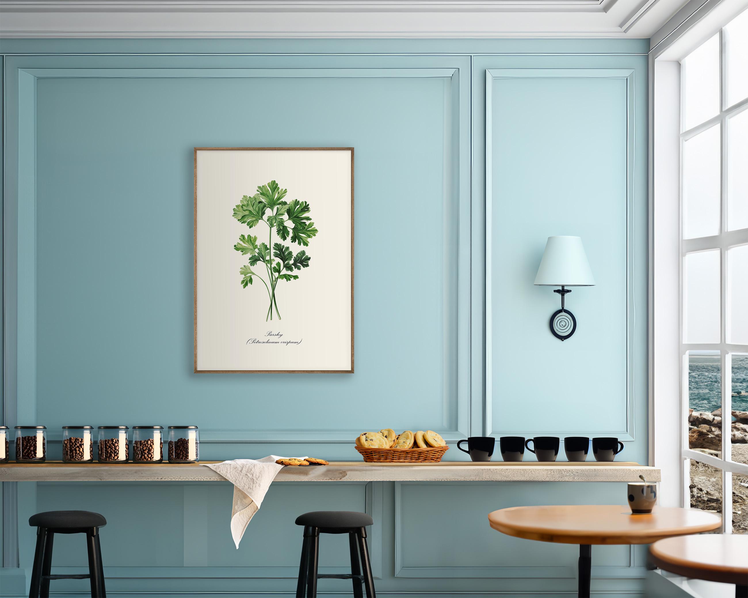 Parsley Herb Wall Art Gift for New Kitchen Rustic Green Decor Idea for ...