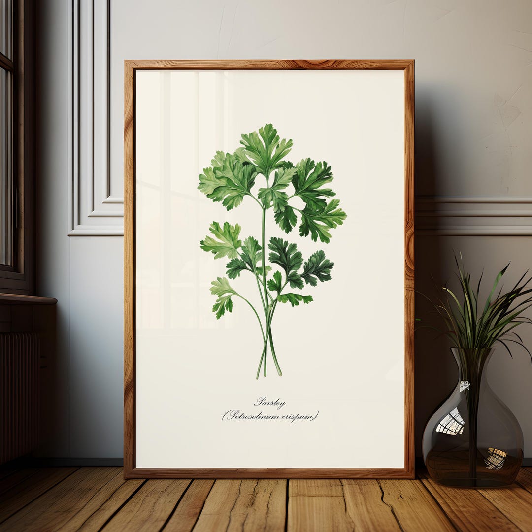 Parsley Herb Wall Art Gift for New Kitchen Rustic Green Decor Idea for ...