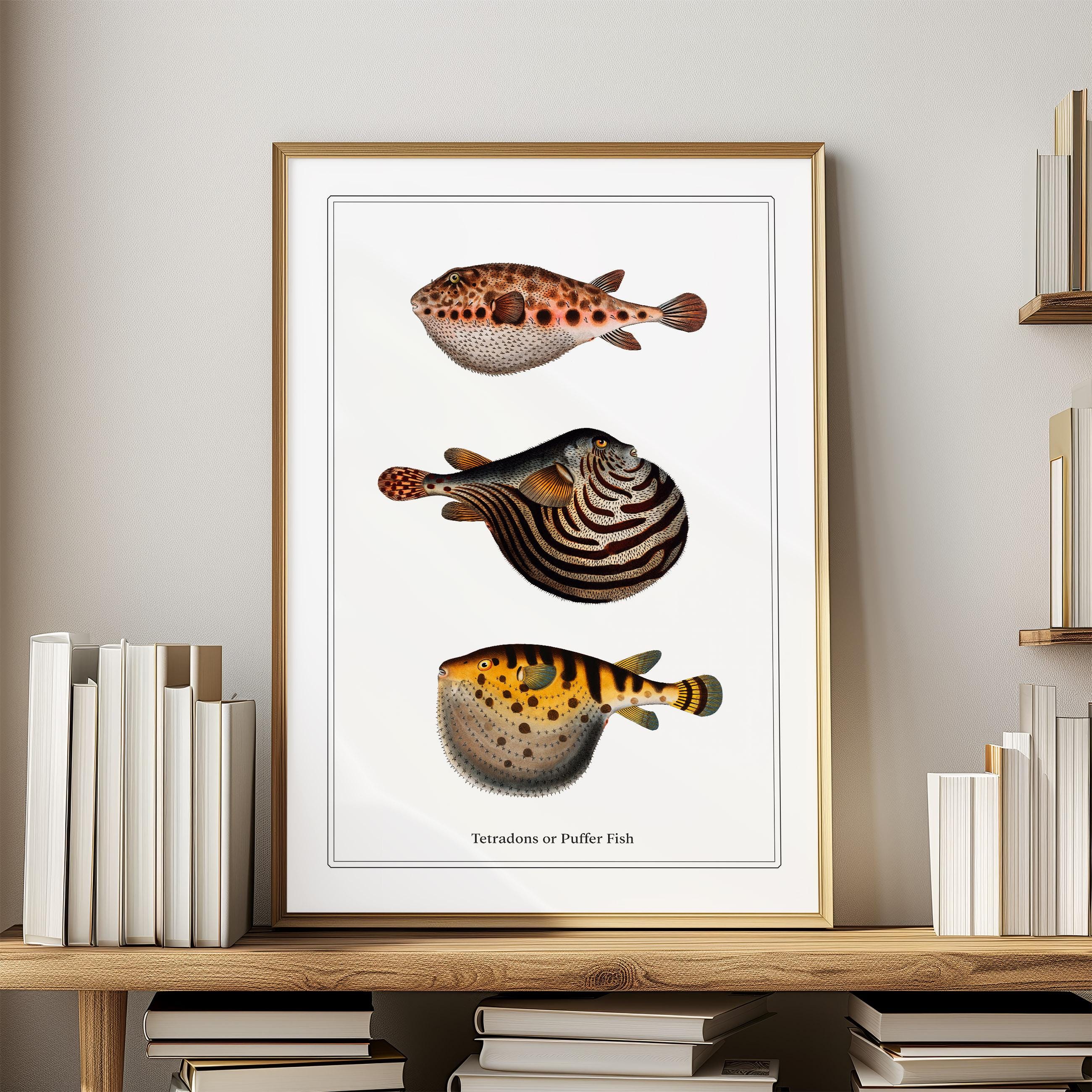 Pair of Vintage Colourful Fish Prints Bathroom Wall Art Set Natural ...