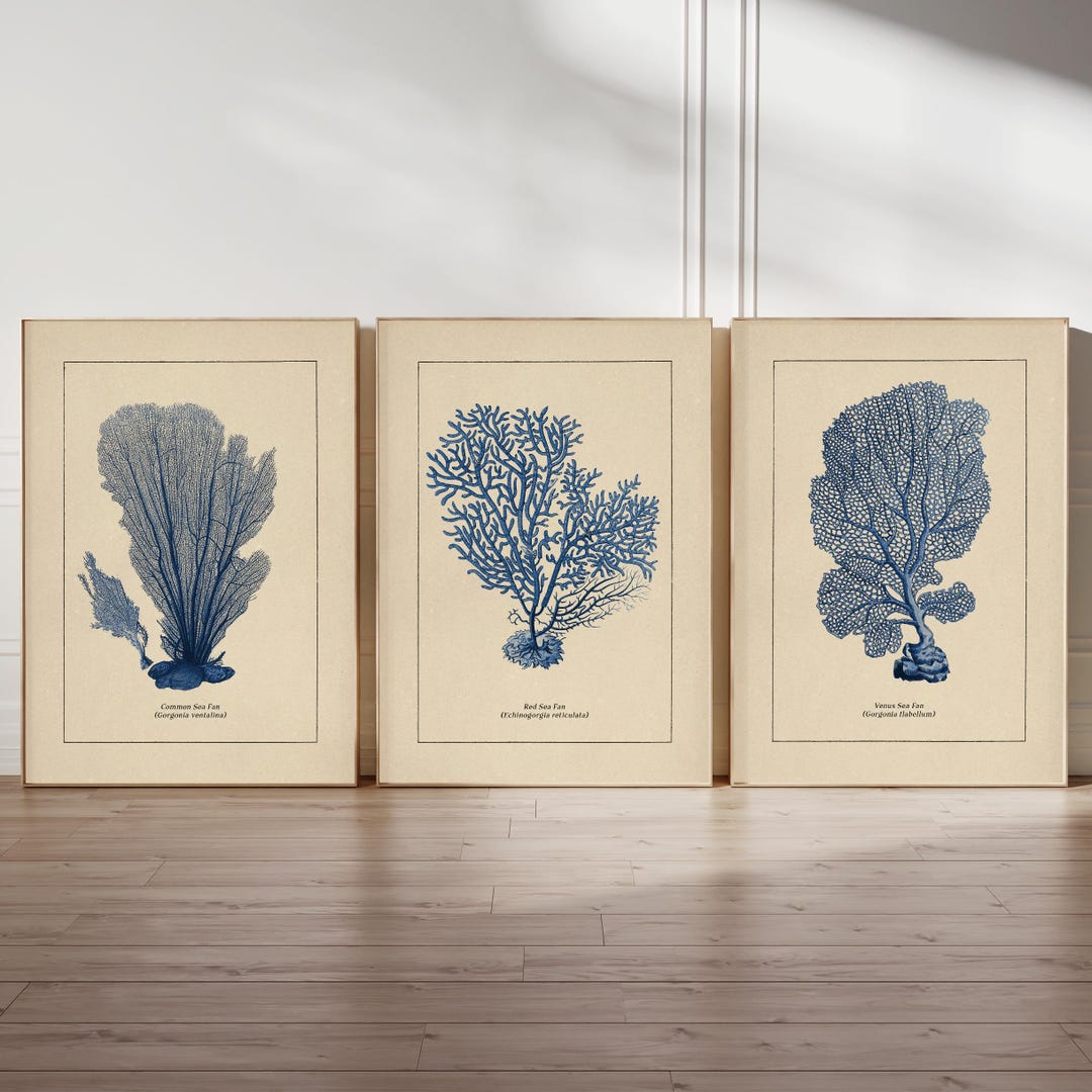 Blue Coral Prints Sea Fan Prints Set of 3 Blue Prints Bathroom Decor ...