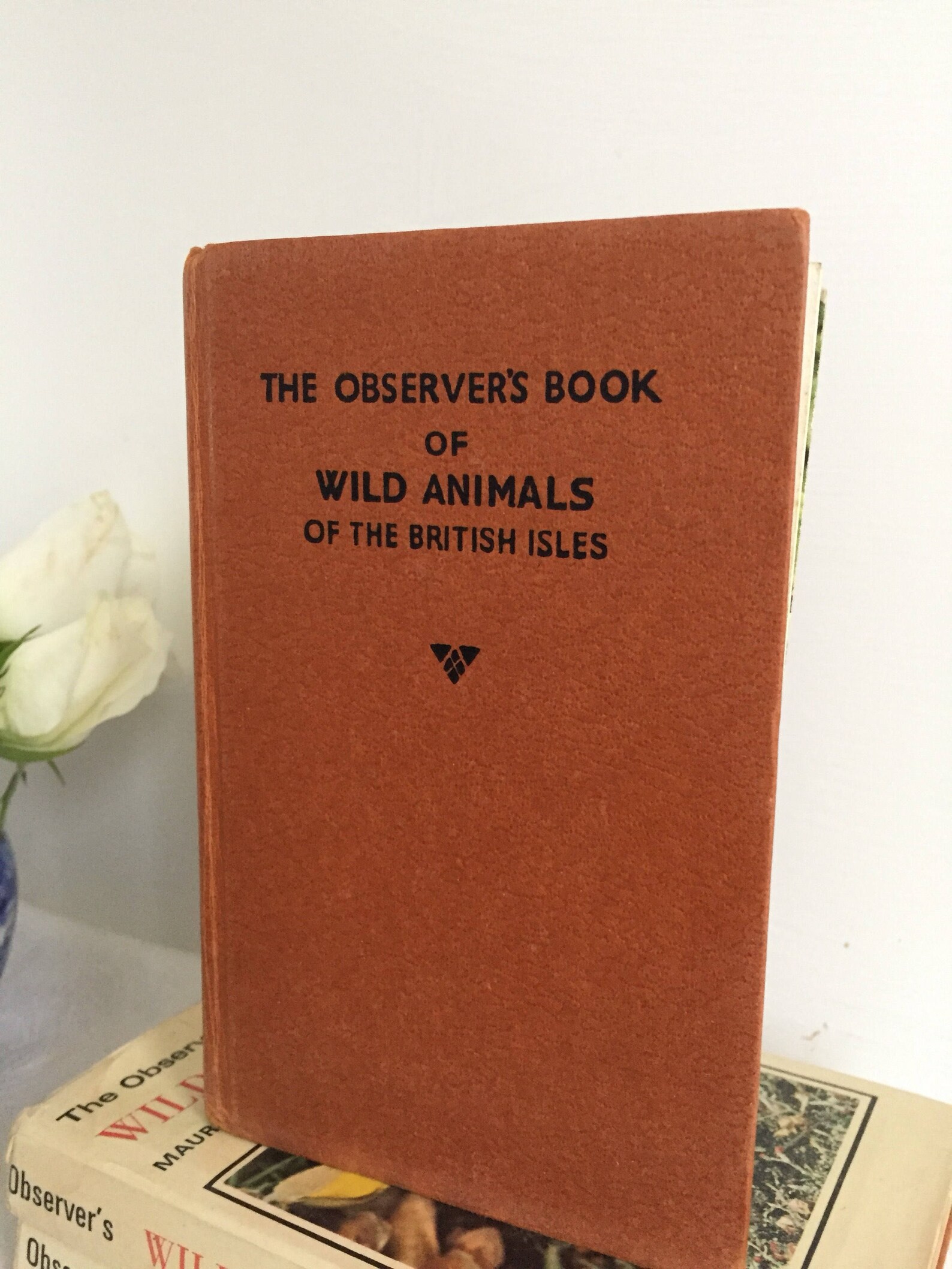 Vintage 1971 Observers Guide Book to Wildanimals | Etsy