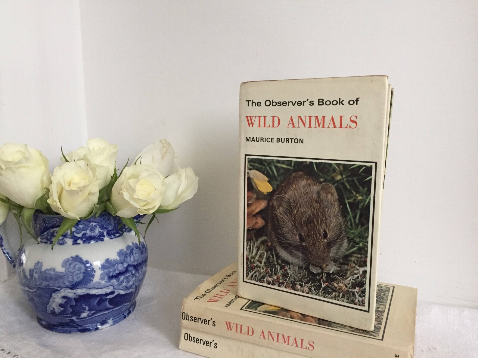 Vintage 1971 Observers Guide Book to Wildanimals | Etsy